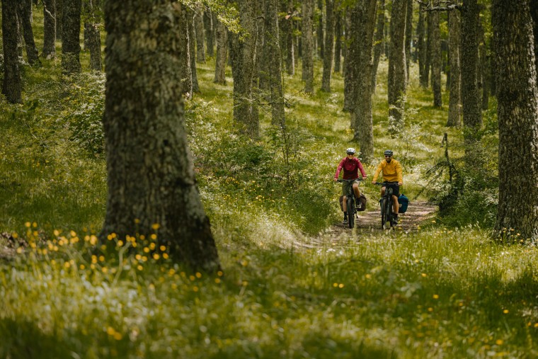 Alltag loslassen, Abenteuer beginnen – mit der Performance Line PX von ...