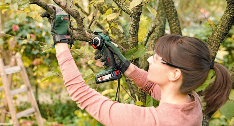 Gartenarbeit einfach gemacht: Bosch-Innovationen für Deinen Garten ...